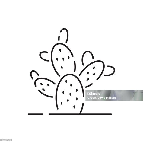 Tree Line Icon Naturally Beautiful Symbol Tree Vector Outline Isolated