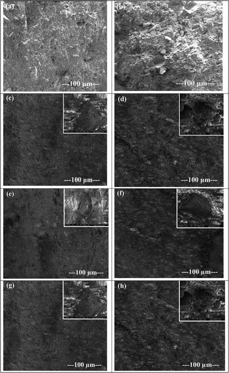 Sem Micrographs For The Fractured Surface Of Epdm Rubber A B And Its Download Scientific