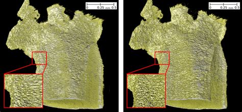 Reconstructed Volumes Of Fibrin Scaffold Based On Drift Uncorrected