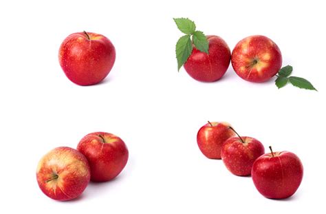 흰색 배경에 빨간 사과 세트입니다 흰색 배경에 노란색 반점이있는 붉은 색의 수분이 많은 사과 육즙이 빨간 사과의 구성 0명에 대한 스톡 사진 및 기타 이미지 Istock