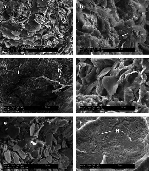 Sem Photographs Of Clays A Interlocking Aggregate Of Interlocking Download Scientific