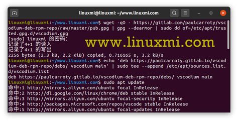 代码编辑器VS Codium 真正免费开源的 VS Code Linux迷