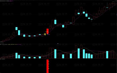 通达信长下影线选股公式通达信选股指标通达信指标下载指标网