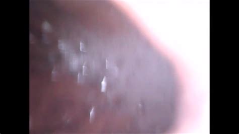 Digesting VORE ThisVid Com Digesting VORE ThisVid Com