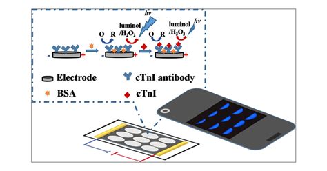 Single Electrode Electrochemical System For The Visual And High