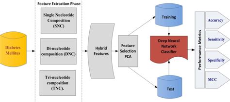 Proposed Model Architecture Download Scientific Diagram