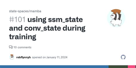 Using Ssm State And Conv State During Training Issue State Spaces Mamba GitHub