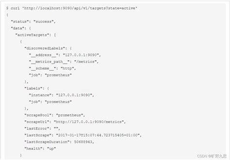 prometheus查询api说明文档 prometheus 查询接口 旷野九思的博客 csdn博客