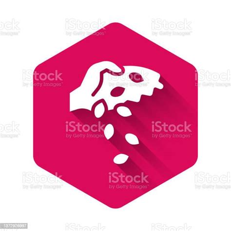 긴 그림자 배경으로 격리 된 특정 식물 아이콘의 흰색 씨앗 핑크 육각형 버튼 벡터 건강한 식생활에 대한 스톡 벡터 아트 및 기타 이미지 건강한 식생활 곡초류 그림자