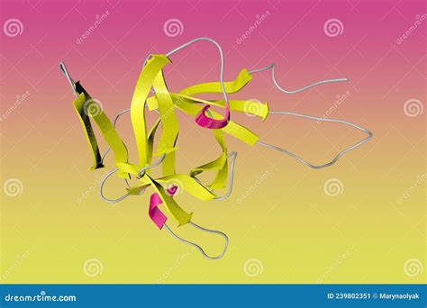 Solution Structure Of An Essential CMP Kinase Of Streptococcus Pneumoniae Ribbons Diagram In