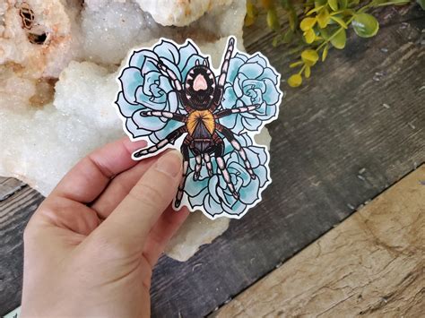 C Elegans Tarantula And Succulent Sticker 4 Inch Glossy Etsy