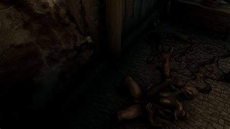 Does Anyone Know What SexLab Animation Pack These Animations Are From SexLab Framework