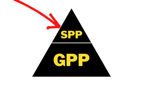 Czym Jest SPP Testosterone Wiedza