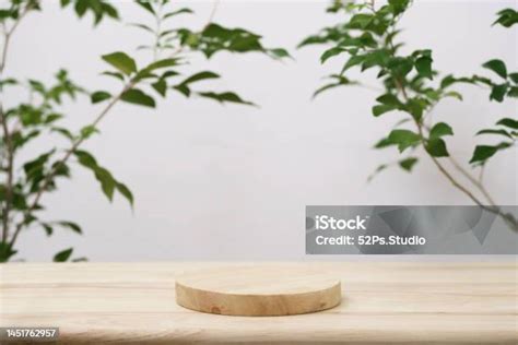 나무 가지가 있는 탁상에 빈 나무 연단 질감 신선한 녹색 잎 흰색 공간 배경유기농 건강한 천연 제품 받침대 플랫폼 프로모션 쇼