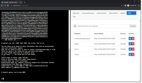 How To Make Your Own Cert With Web Openssl Didier Stevens