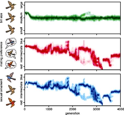 No Speciation Despite Disruptive Sexual Selection Without Disruptive Download Scientific