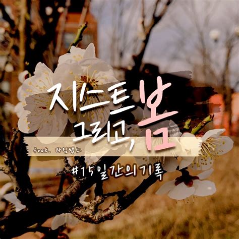 gist 광주과학기술원 🌸지스트에 봄이 왔어요🙈🌸 슬그머니 시작된 지스트의 봄☘ 그 15일간의