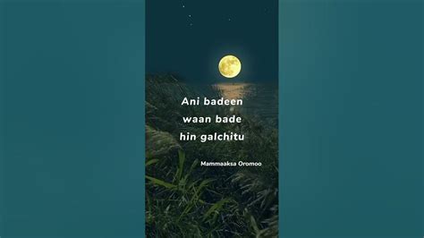 Mammaaksa Oromoo Youtube