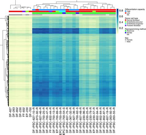 Non Cg Dna Methylation Profiles Can Separate Ldc From Hdc Hipscs