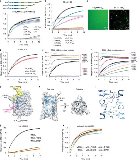 Association Between Ssul Modules And γcal Domains Of M58 A Top Download Scientific Diagram