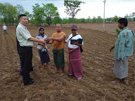 နတ်မောက်မြို့နယ်၌ ၂၀၂၂ ၂၀၂၃ ခုနှစ်တွင် နေကြာ မိုး သီးနှံ စိုက်ပျိုးနေမှုအား မြို့နယ်စီမံအုပ်ချုပ