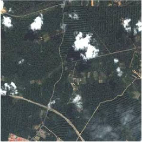 A Quickbird Satellite Imagery Taken From An Oil Download Scientific Diagram