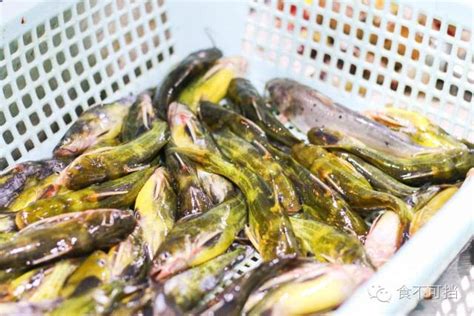 河鲜图片 配图网
