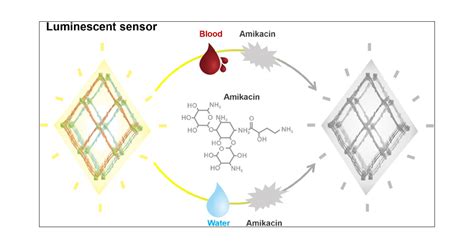 Luminescent Sensor With High Sensitivity And Selectivity For Amikacin Detection In A Serum Using