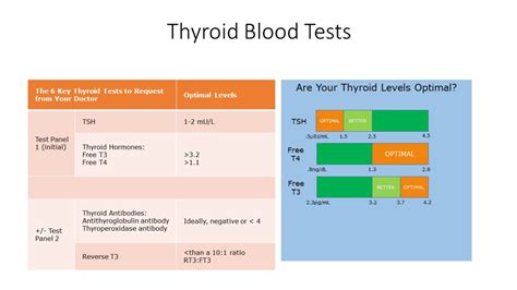 Tsh W Reflex To Ft4 Testing For Thyroid Function Excel Male Trt Forum
