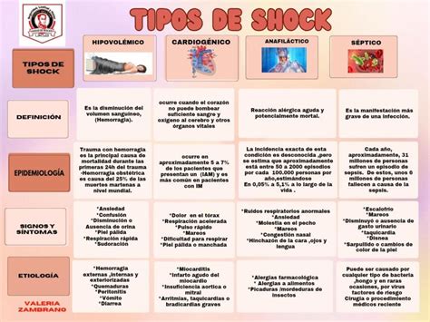 Tipos De Shock Valeria Berrios Udocz
