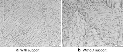 Optical Microscope Images Depicting The Microstructures Of The Ledge