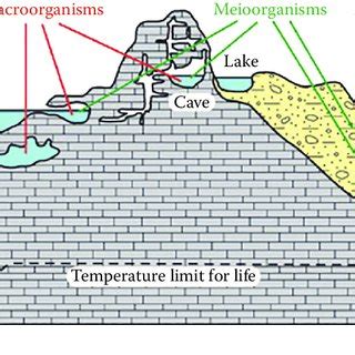PDF Soil Properties Physical Chemical Biological Mechanical