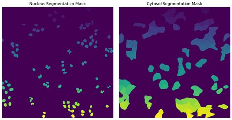 Example Notebook Showcasing The Different Segmentation Workflows — Sparcspy Documentation