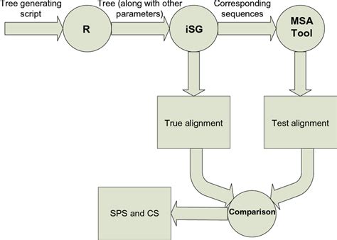 Methodology Of The Comparative Study Download Scientific Diagram