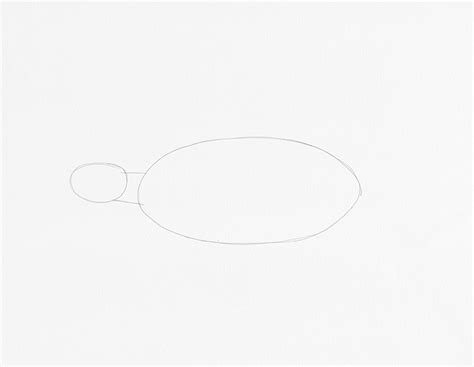 Learn How To Draw A Sea Turtle Swimming In The Ocean Step By Step