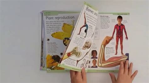 First Science Encyclopedia Youtube