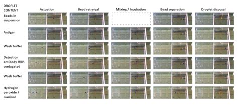 Electrowetting Based Digital Microfluidics Platform For Automated Enzyme Linked Immunosorbent Assay