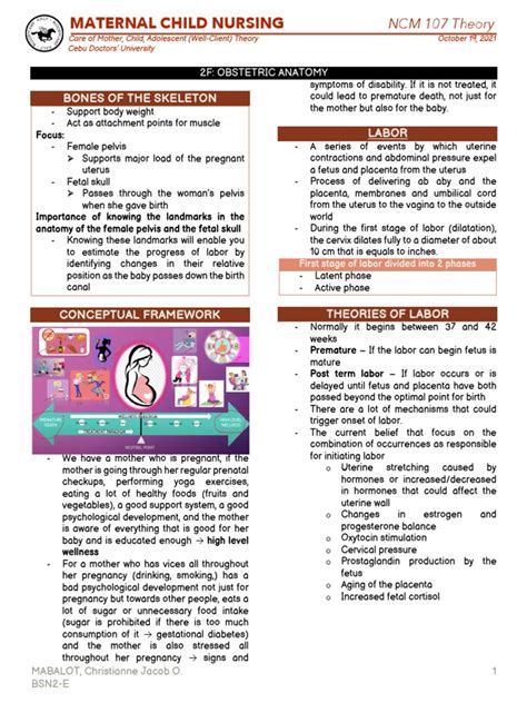 2f Obstetric Anatomy Pdf