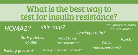 How To Test For Insulin Resistance Martha Mckittrick Nutrition