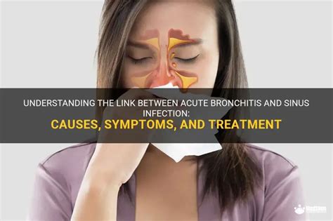 Understanding The Link Between Acute Bronchitis And Sinus Infection Causes Symptoms And