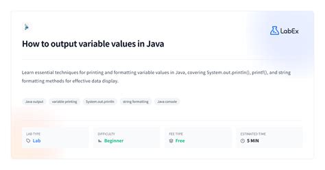 How To Output Variable Values In Java Labex