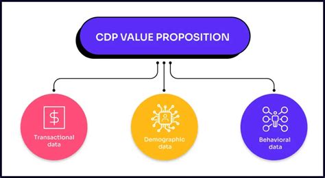 Cdps For Ecommerce Explained Lifesight