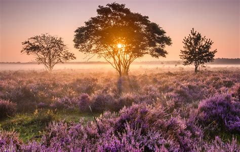 珈豪の学习仓库