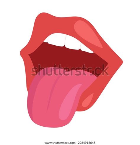 Womans Open Mouth Tongue Teeth Mouth Stock Vector Royalty Free