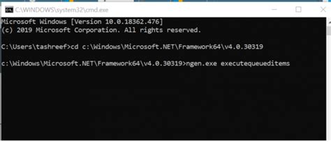Fix Net Runtime Optimization Service High Cpu