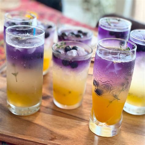 Class101 천연 발효음료 콤부차 집에서 평생 키워 먹기