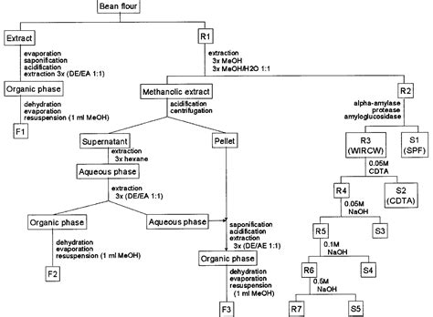 Outline Of The Isolation Procedure Of Phenolic Fractions