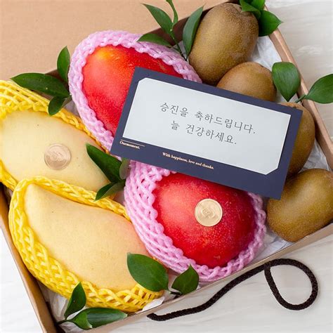 프리미엄 골드망고 And 애플망고 혼합 과일세트 3종 원모먼트