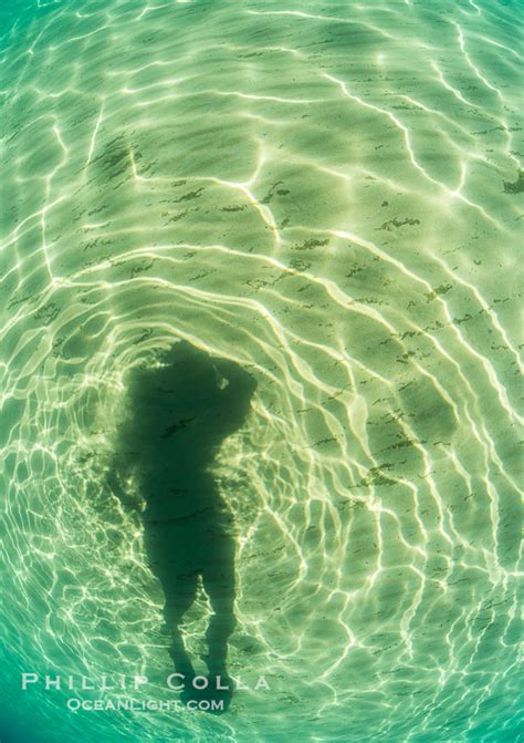 Underwater Light And Sand Lake Tahoe Nevada 32357