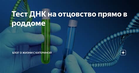 Тест ДНК на отцовство прямо в роддоме | Блог о жизни с Катериной | Дзен